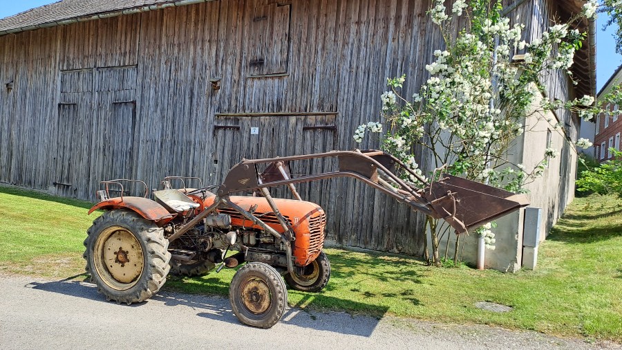 Gebraucht: Steyr 188 Steyr Traktor Typ 188 kann gerne in Euratsfeld vor ...