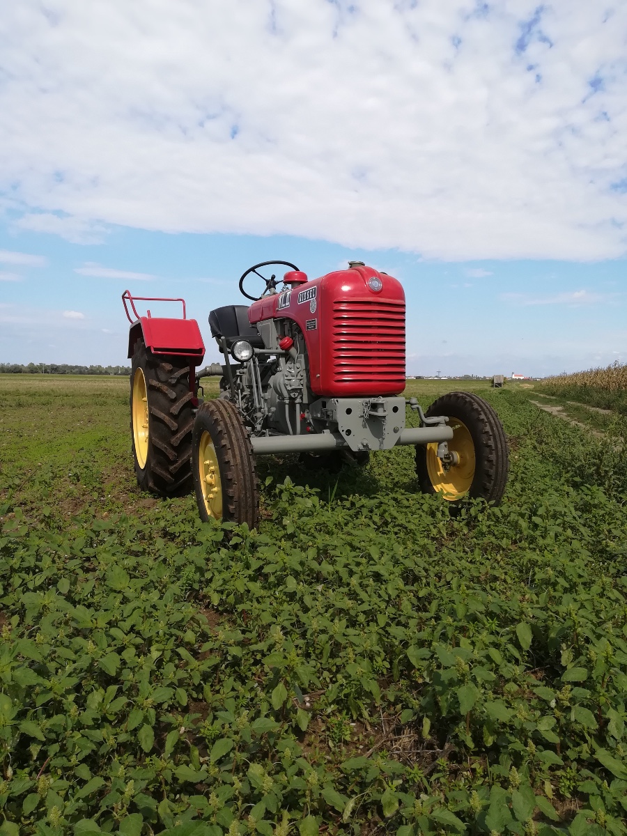 Steyr t84 guter Zustand - Classic Oldtimer