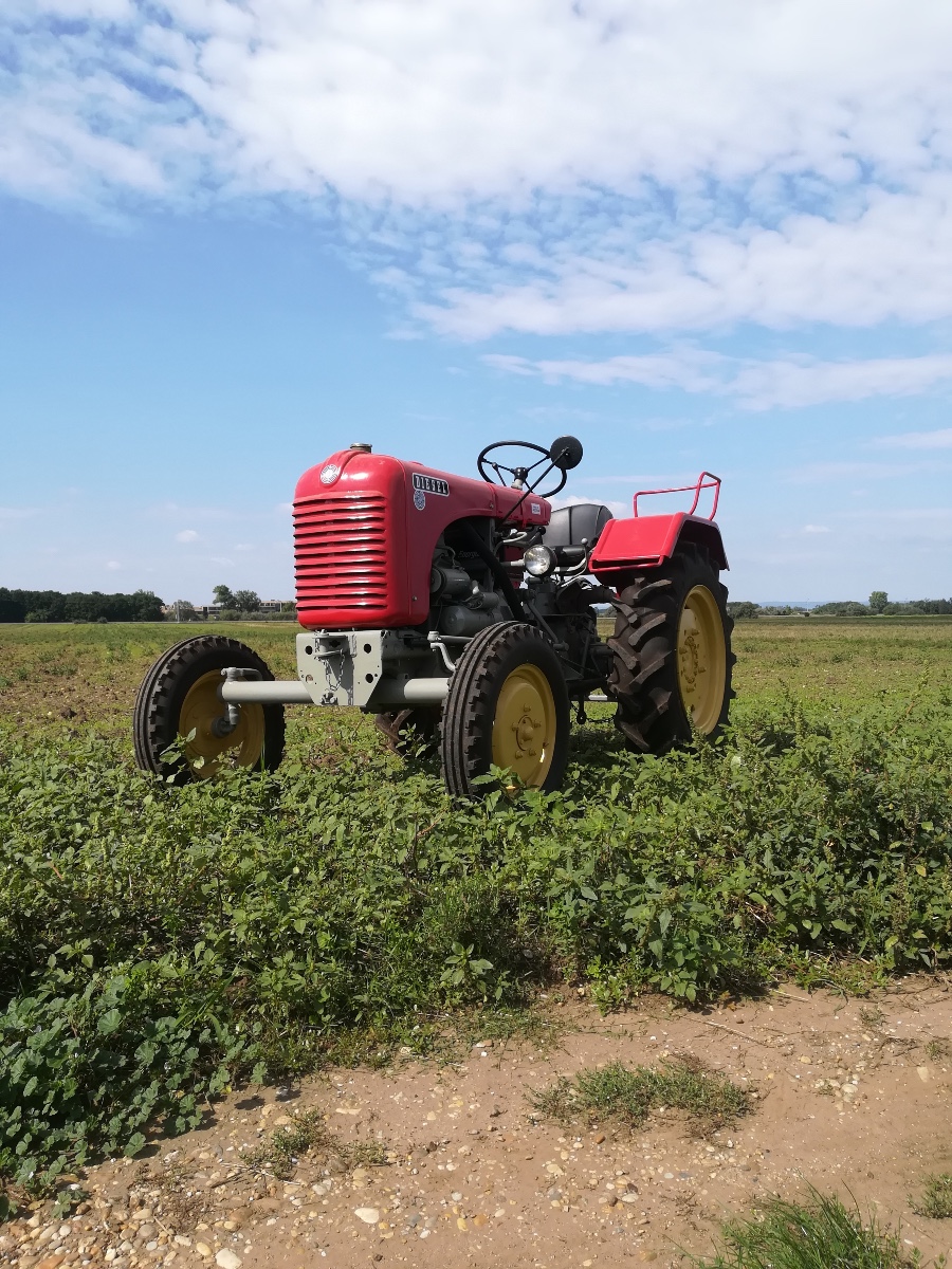 Steyr t84 guter Zustand